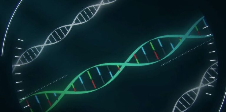 Synthego Raises $200 Million to Accelerate the Field of CRISPR-Based ...