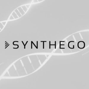 Synthego – Revelation Partners
